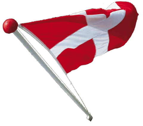 Flagstang med opsætning | Vi leverer og opsætter din flagstang